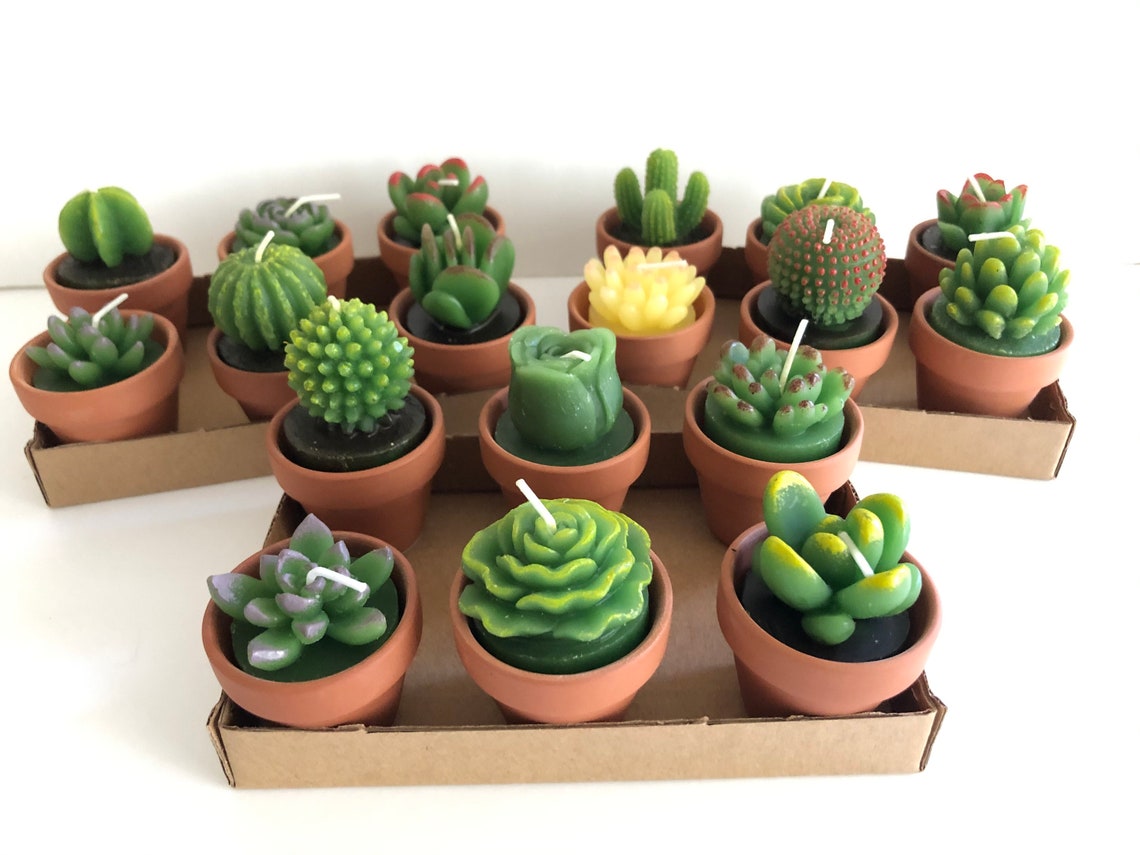 Single Succulent Tealight Candle - Etsy