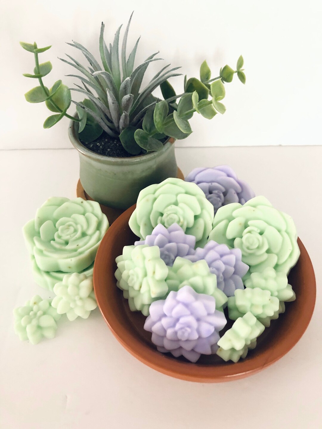 Mini Succulent Soap Gift Set (includes Cotton Bath Tea Bag) - Etsy