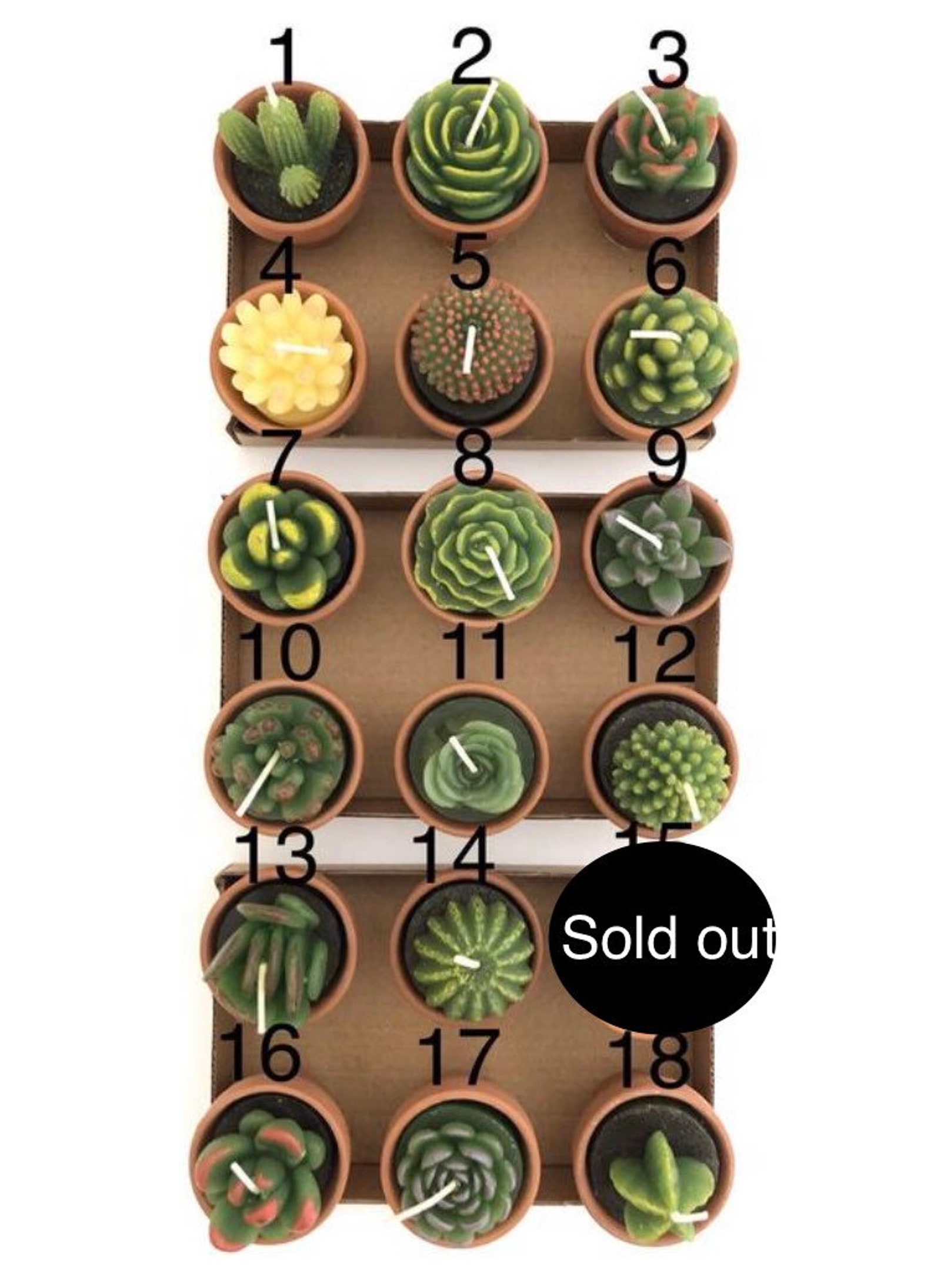 Single Succulent Tealight Candle - Etsy