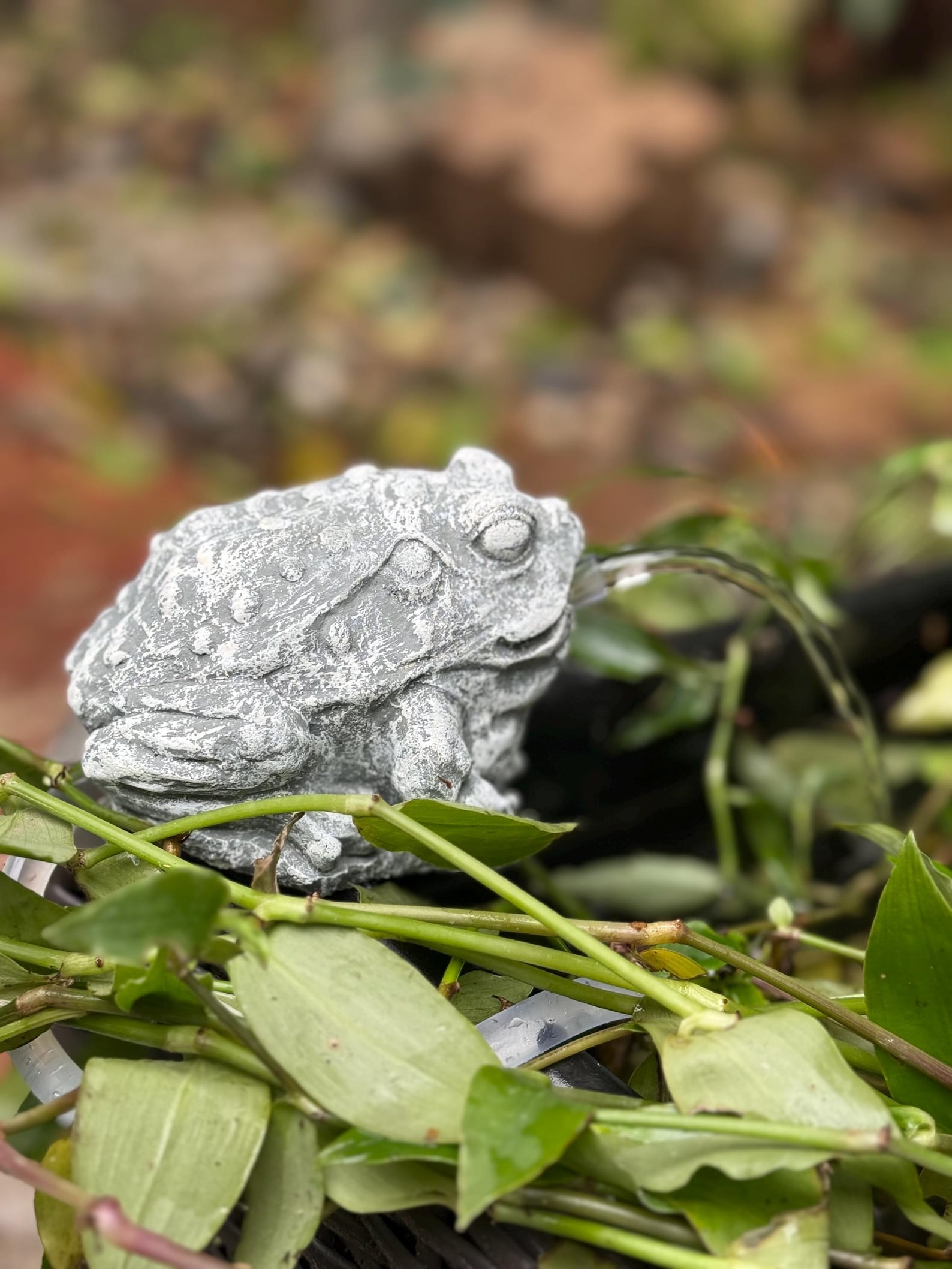 Concrete Spitting Frog Fountain 4.5"x3.25"x3", Water Feature, Spitter ...