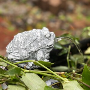 Concrete Spitting Frog Fountain 4.5"x3.25"x3", Water Feature, Spitter ...