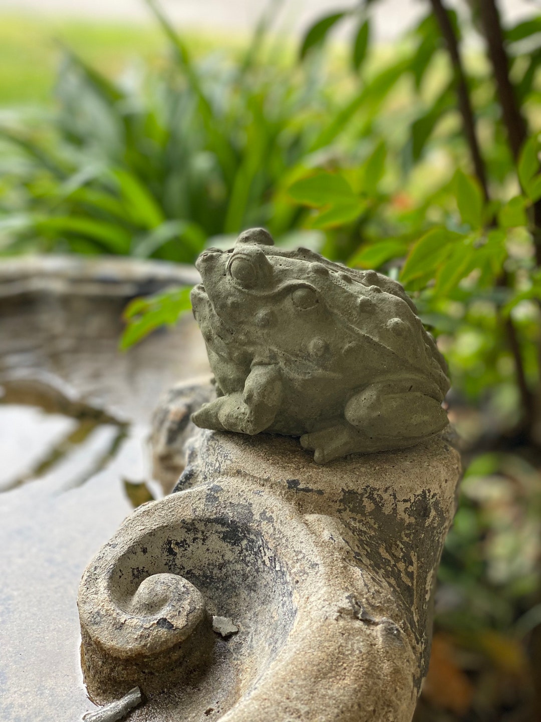 Concrete Bullfrog Statue, Stone Toad, 4.5lx3.25wx3, Garden Art ...