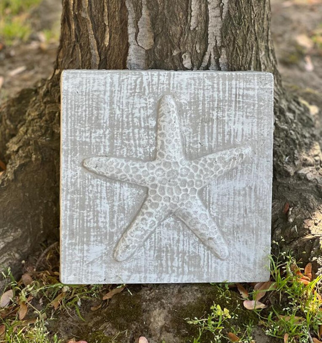 Coastal Decor 10 X 10, Scallop Shell, Starfish, Conch, Wall Decor ...