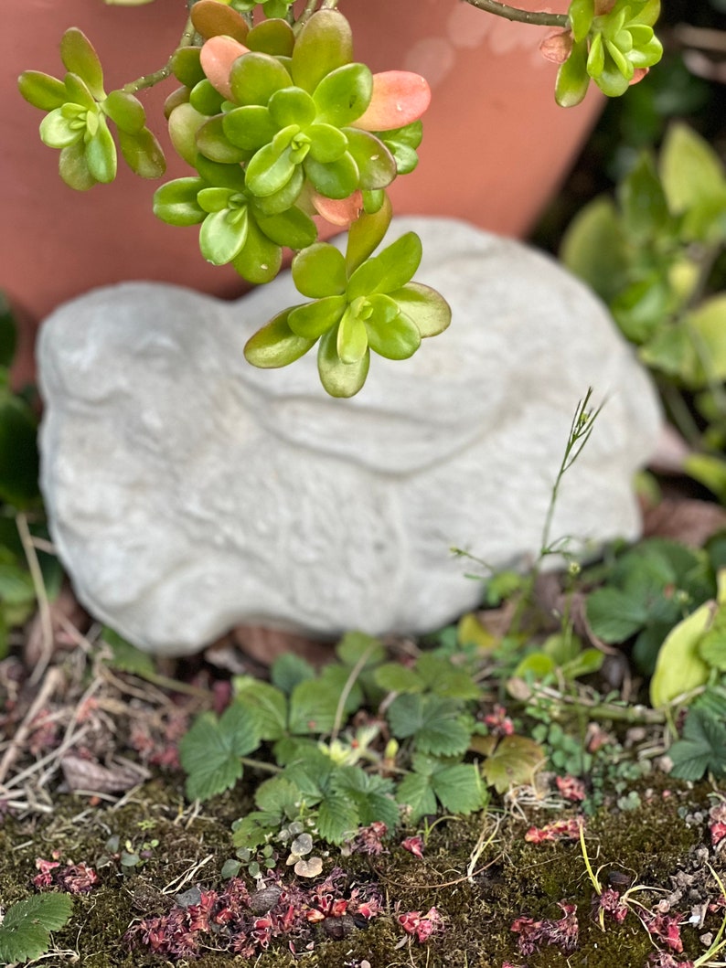 Bunny Stepping Stone Concrete Step Stone 8 X - Etsy