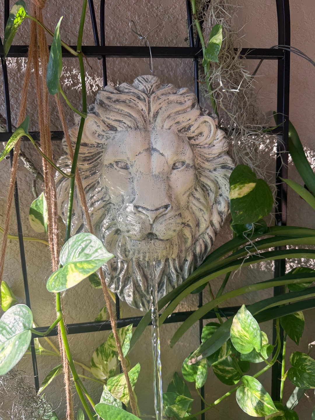 Concrete Lion Head Wall Fountain, Garden Decor, Garden Fountain, Lion ...