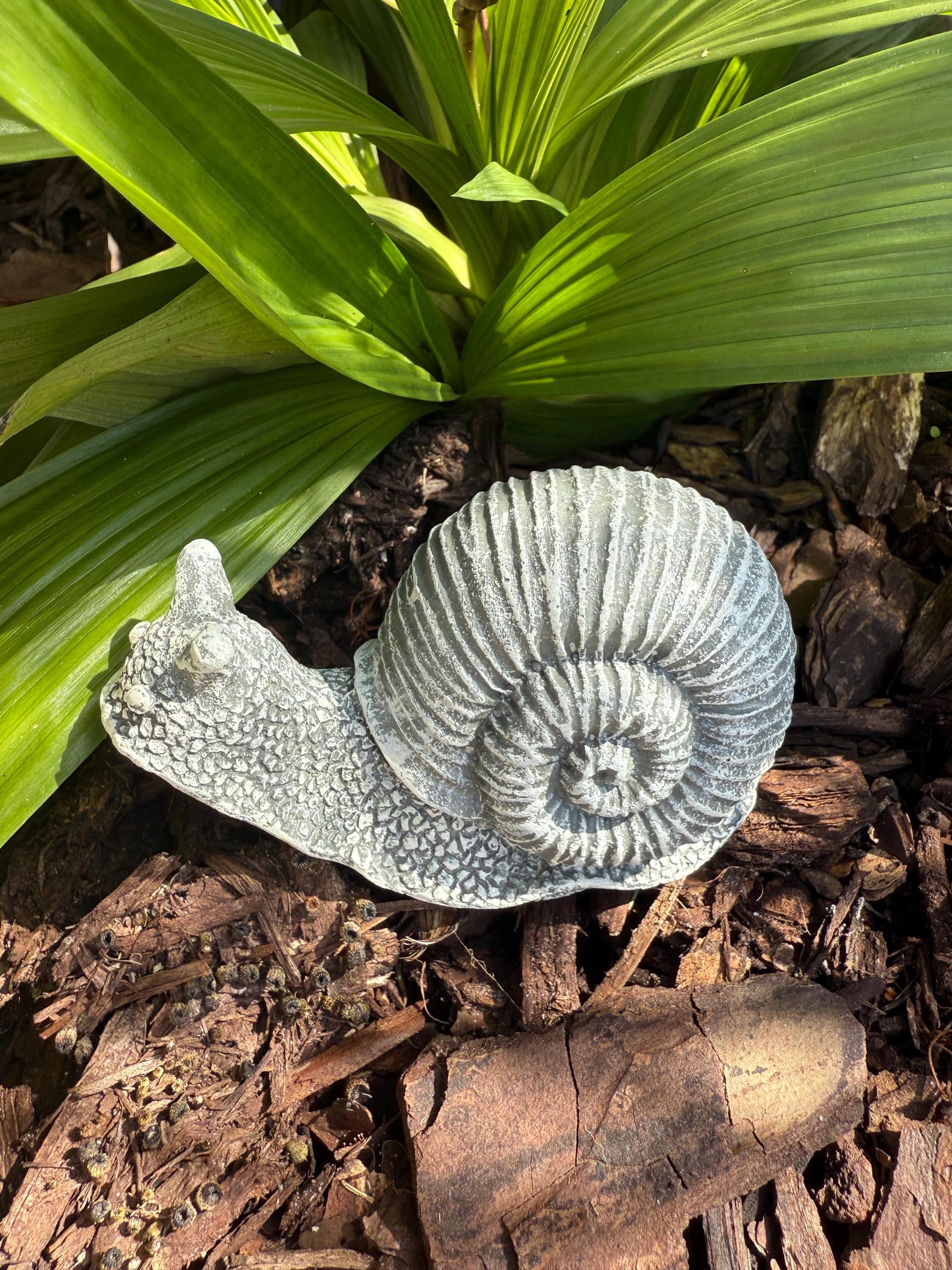 Concrete Snail Garden Sculpture, 4"l X 1.75"w X 2.5"h, Shell Garden ...