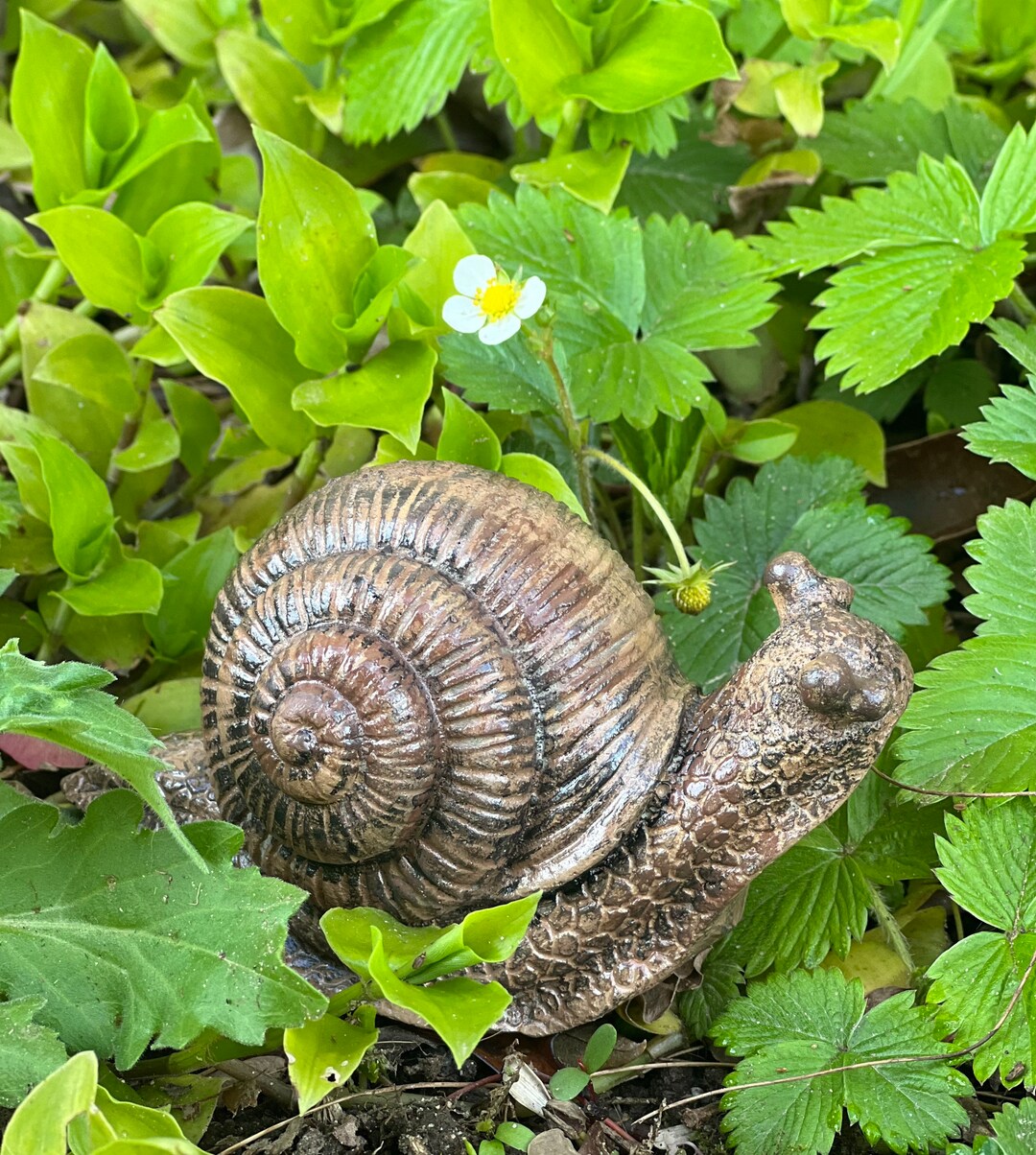 Concrete Snail Statue – Garden Snail Figurine for Outdoor Decor, Fairy ...