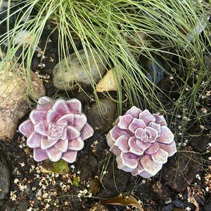 Set of 2 Concrete Flowers Flower Garden Flower Statue Patio - Etsy