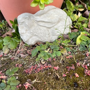 Bunny Stepping Stone, Concrete Step Stone, 8" X 5.5", Bunny Garden ...