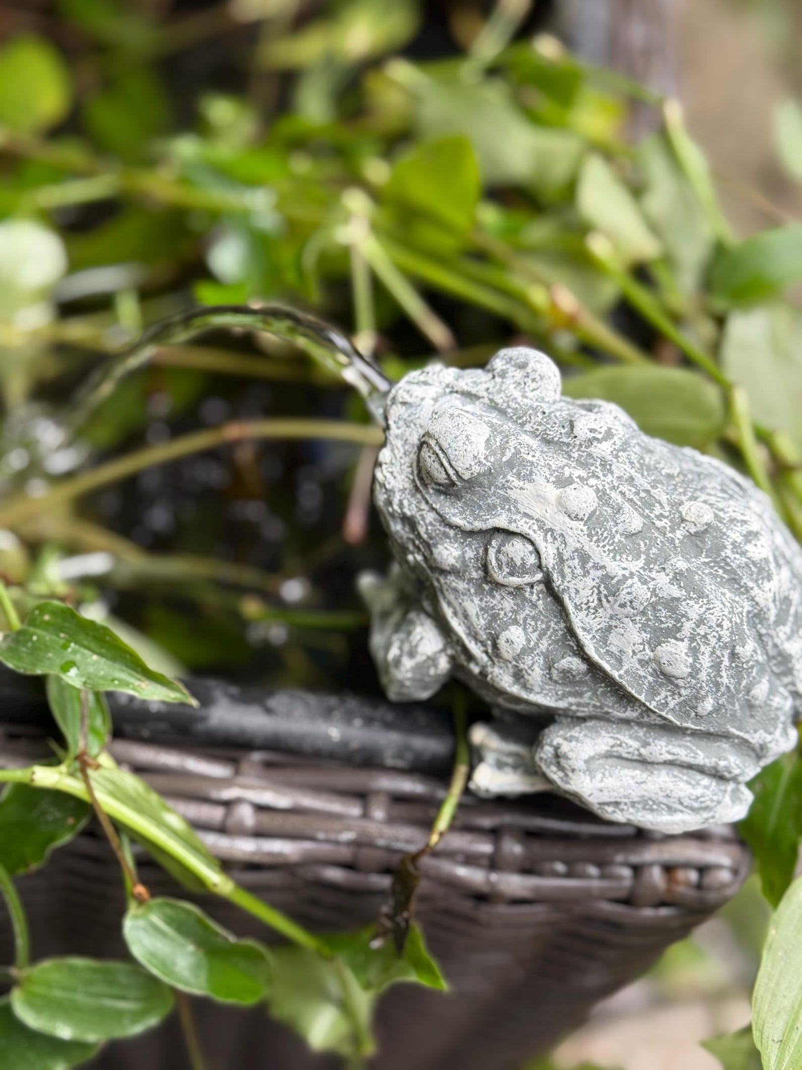 Concrete Spitting Frog Fountain 4.5"x3.25"x3", Water Feature, Spitter ...