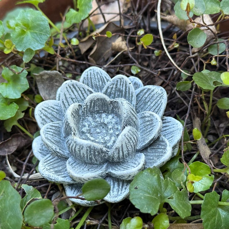 Concrete Flower - Etsy