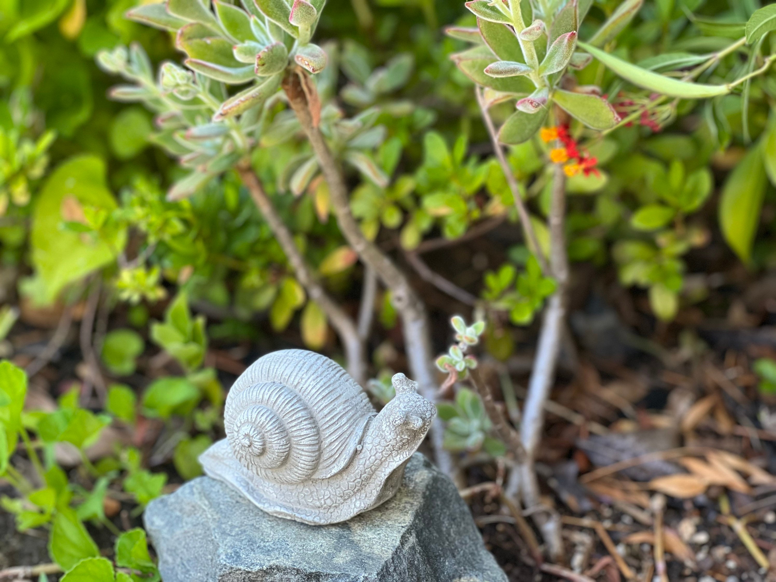Snail Concrete Statue, Garden Statue, Garden Décor, Snail Gift, Mini ...