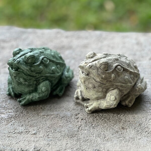 Concrete Toad - Etsy