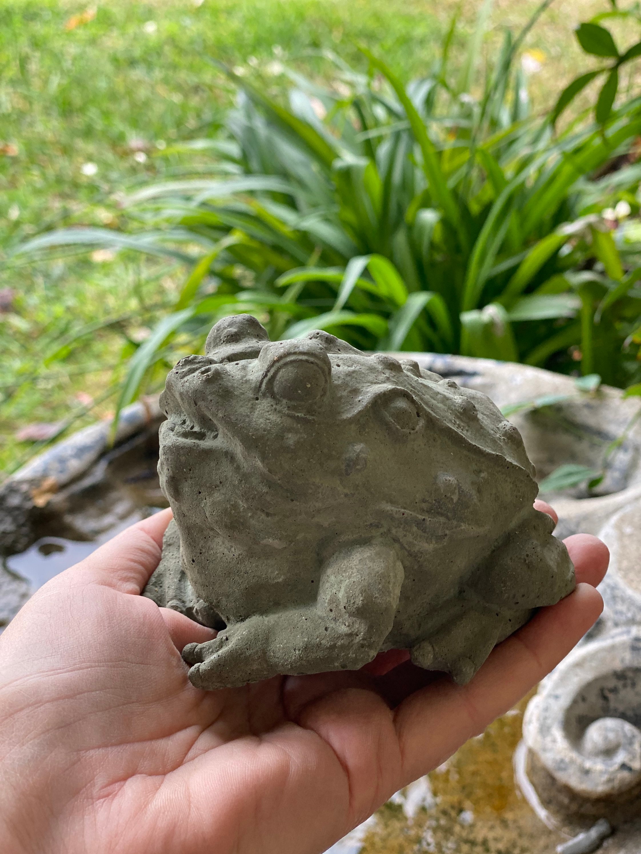 Concrete Bullfrog Statue Stone Toad | Etsy