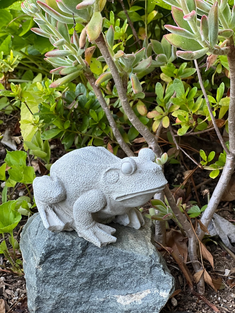 Garden Frog, Concrete Garden Statue, Toad Figure, Cement Outdoor Frog Figurines, Cement Frog ...