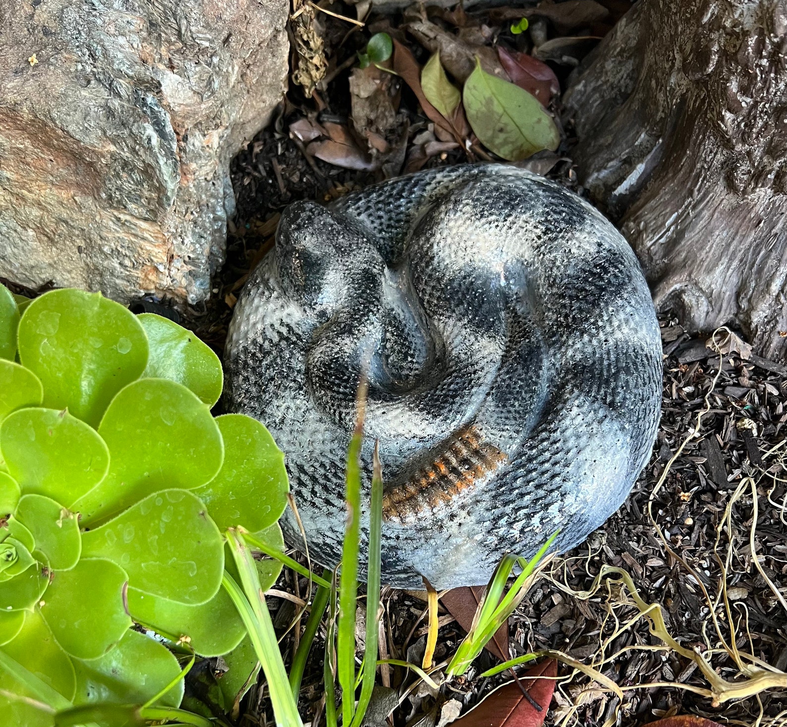 Rattlesnake Concrete Statue Snake Statue Pond Decor Home or - Etsy