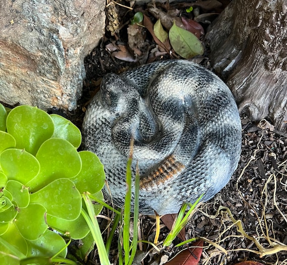 Rattlesnake Concrete Statue Snake Statue Pond Decor Home or - Etsy