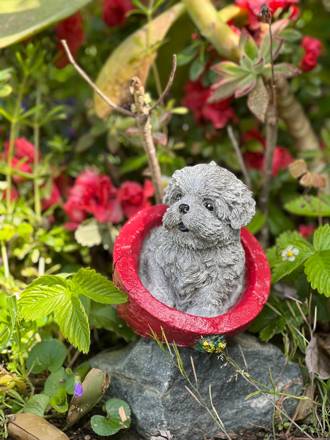 Concrete Dog Statue Maltese Puppy Statue Cockapoo Dog - Etsy