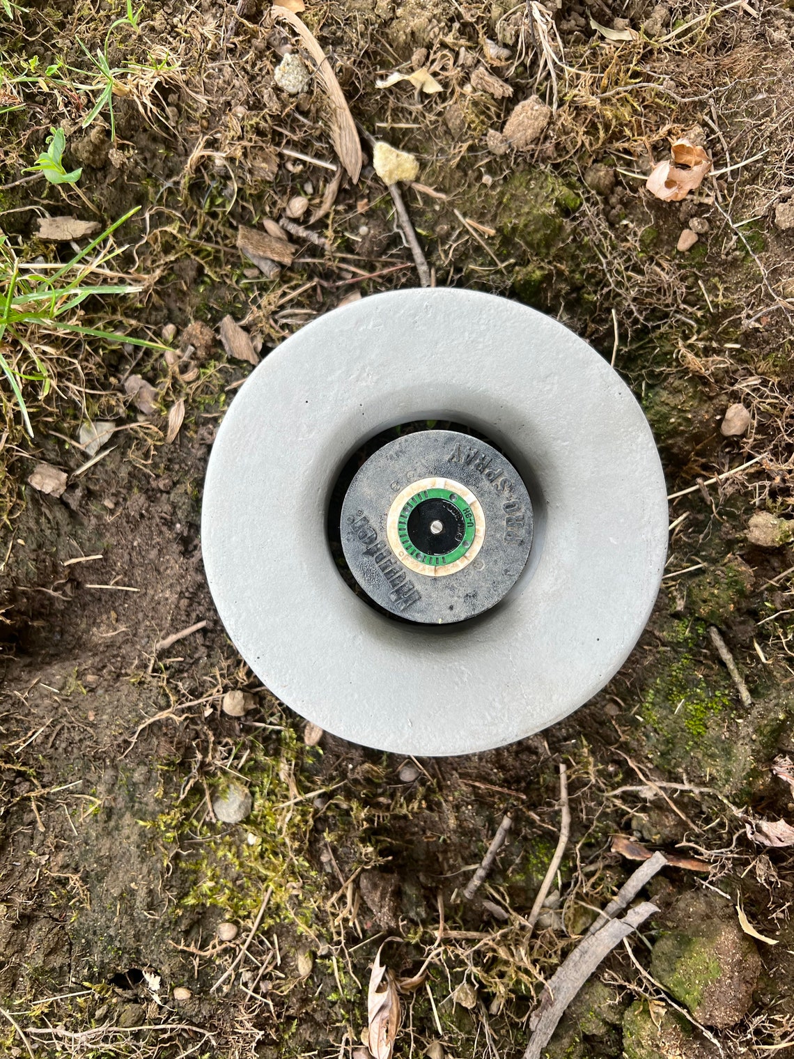 Small Concrete Gazing Ball Holder, Cement Sprinkler Guard Ring ...