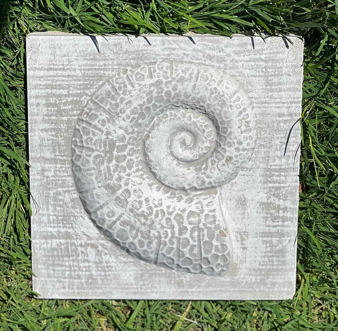 Conch Seashell Wall Plaque, 10”x10” Concrete Coastal Décor, Nautical ...