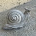 Snail Concrete Statue, Garden Statue, Garden Décor, Snail Gift, Mini ...