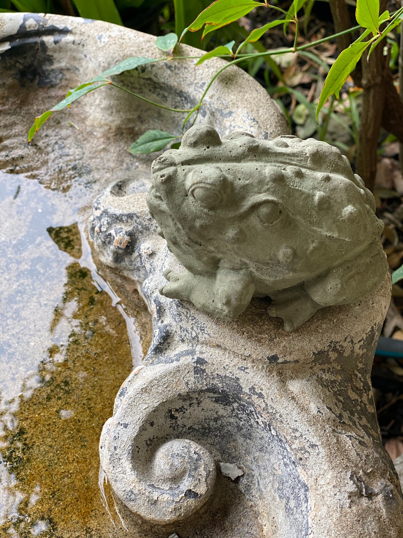 Concrete Bullfrog Statue Stone Toad | Etsy