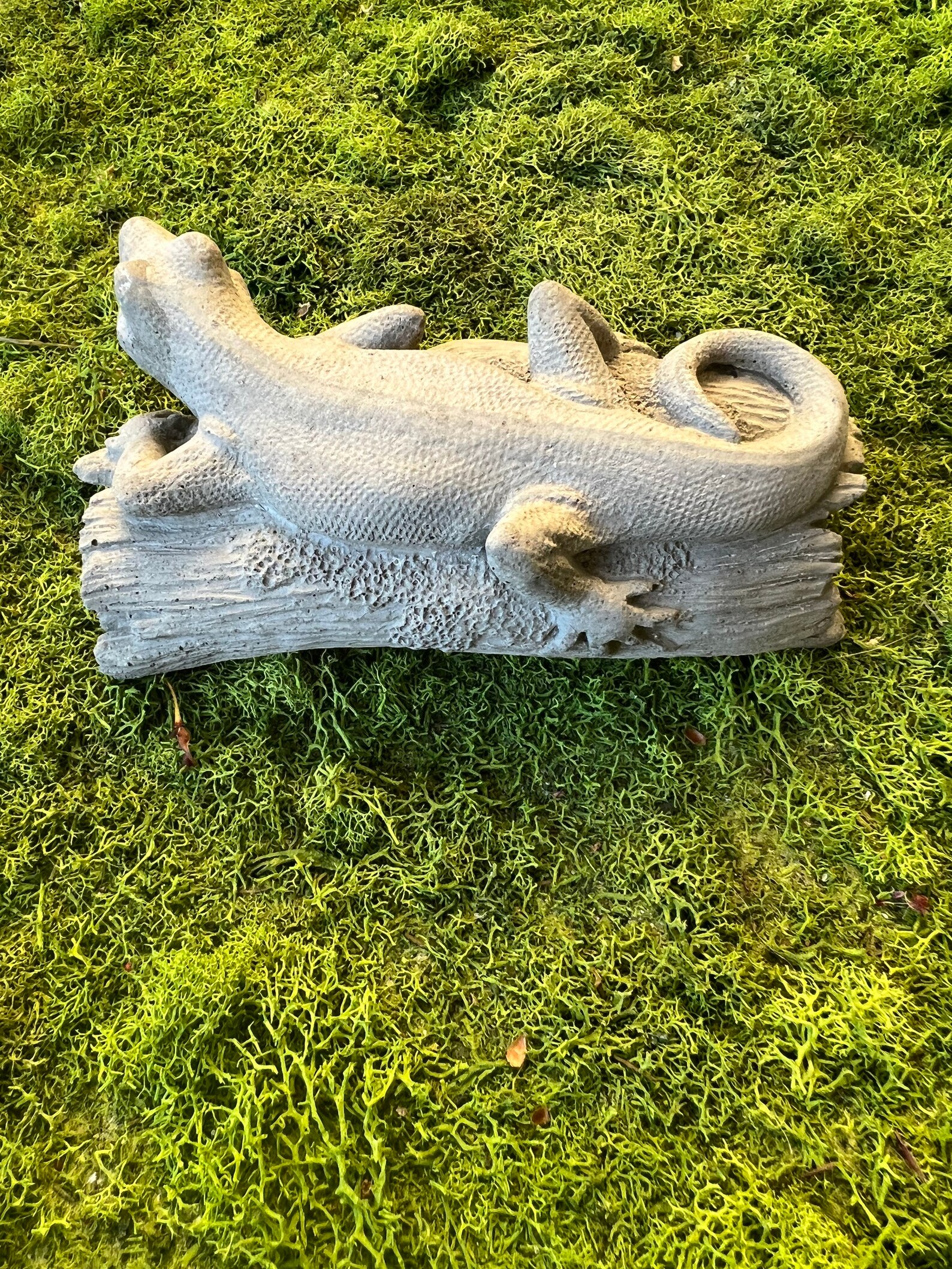 Concrete Lizard on the Log Statue Lizard Garden | Etsy