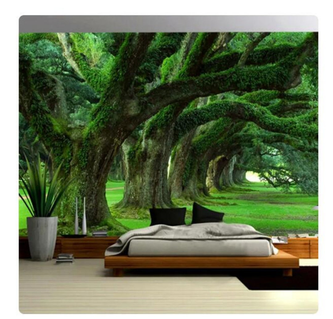 Green Tree Path Wallpaper Mural: Forest Landscape Home Decor - Etsy