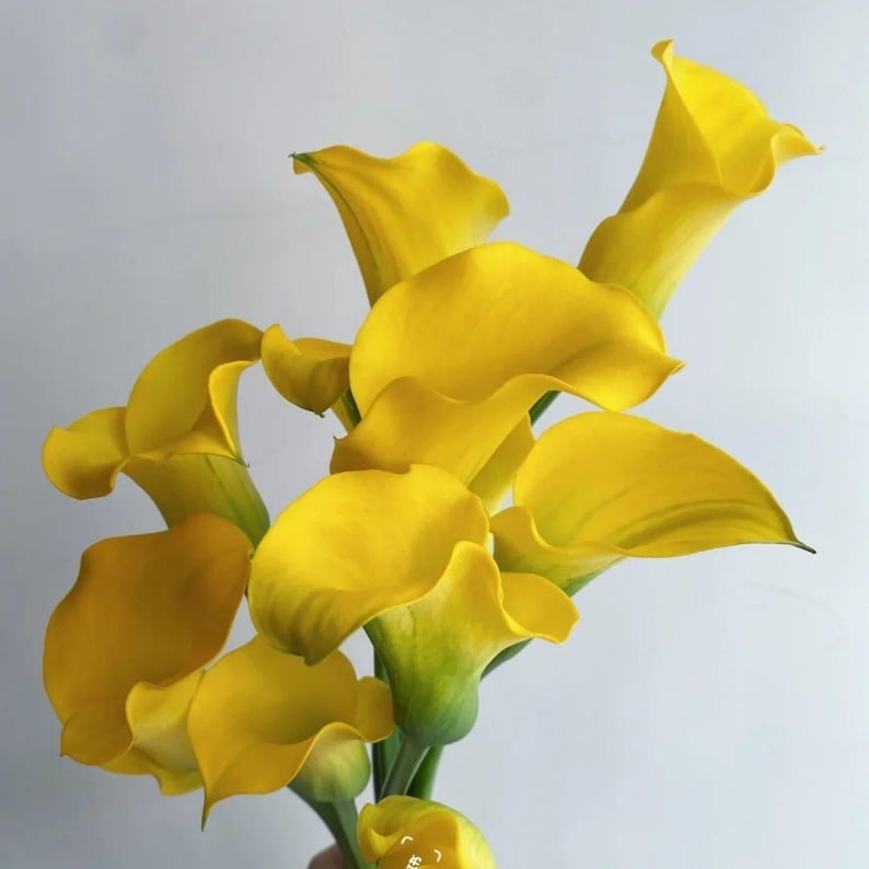 Real Touch Calla Lily Bouquet: Artificial Wedding Arrangement - Etsy