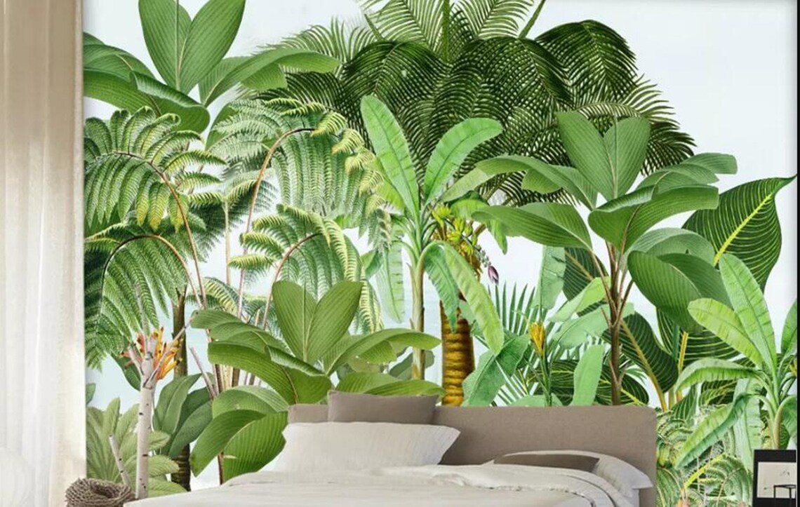Tropical Rainforest Wallpaper Southeast Asia Huge Trees Pine - Etsy
