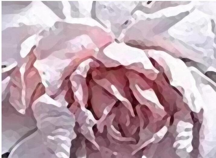 3D Embossed Rose Flower Wall Mural Photo Wallpaper for Living | Etsy