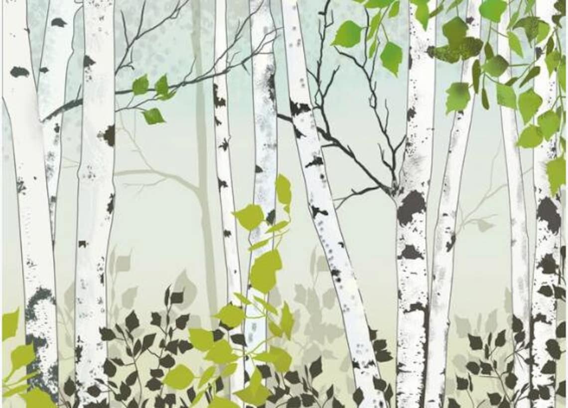 Handpainted Birch Forest Wallpaper Beautiful Birch Wall | Etsy