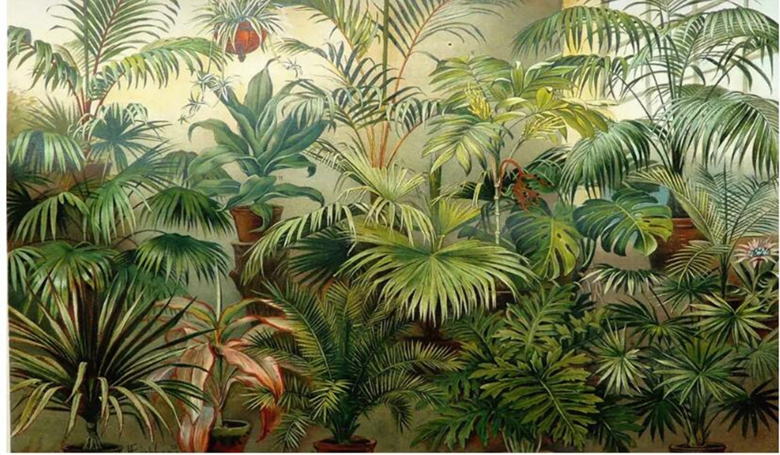 Custom Tropical Rain Forest Wall Mural Wallpaper Coconut Palm - Etsy ...