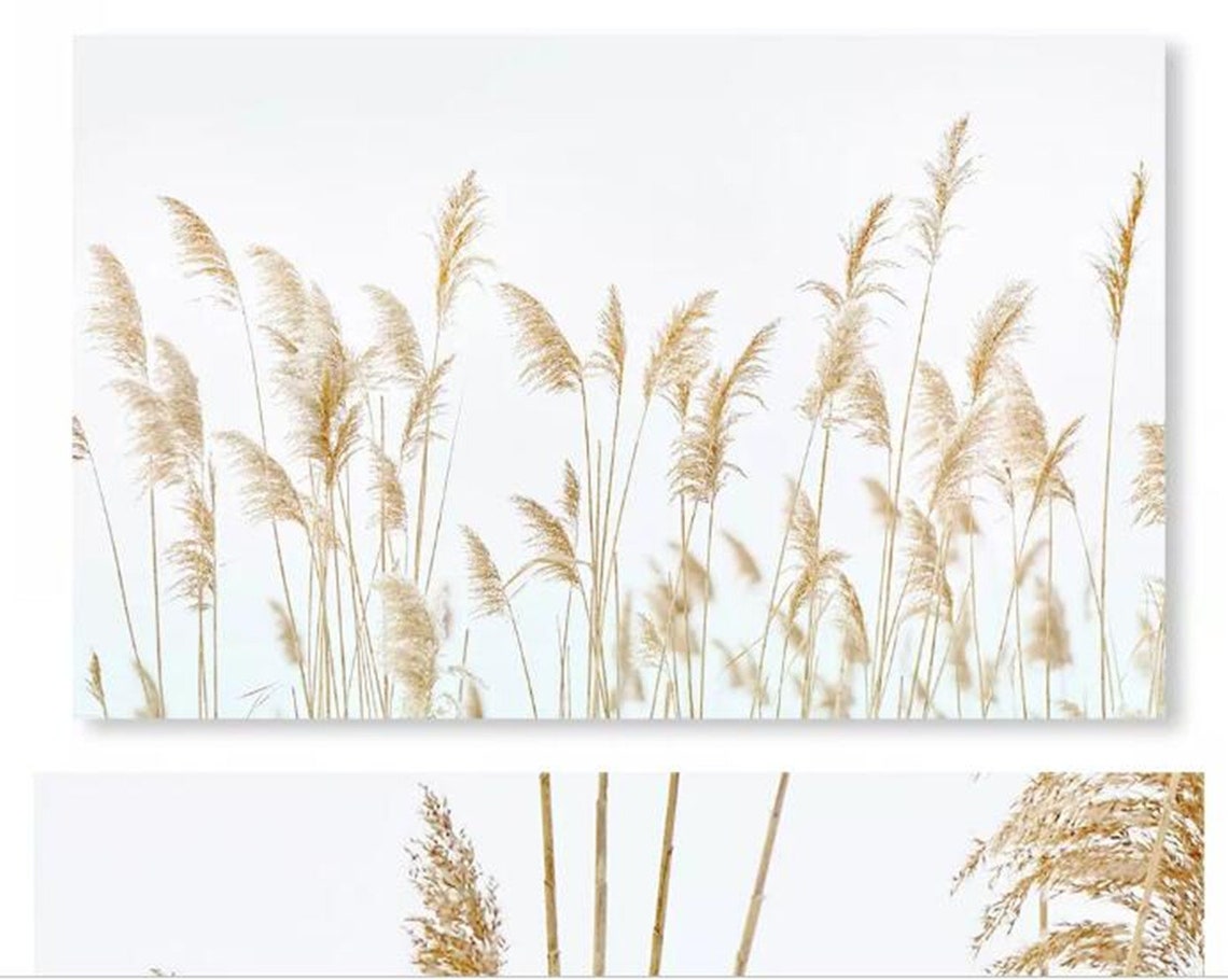 Fresh Handpainted Simple Reed Wallpaper Autumn Yellow Reed | Etsy