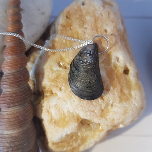 Purple Muscle Shell Pendant. Suspended From 18 Inch Sterling - Etsy