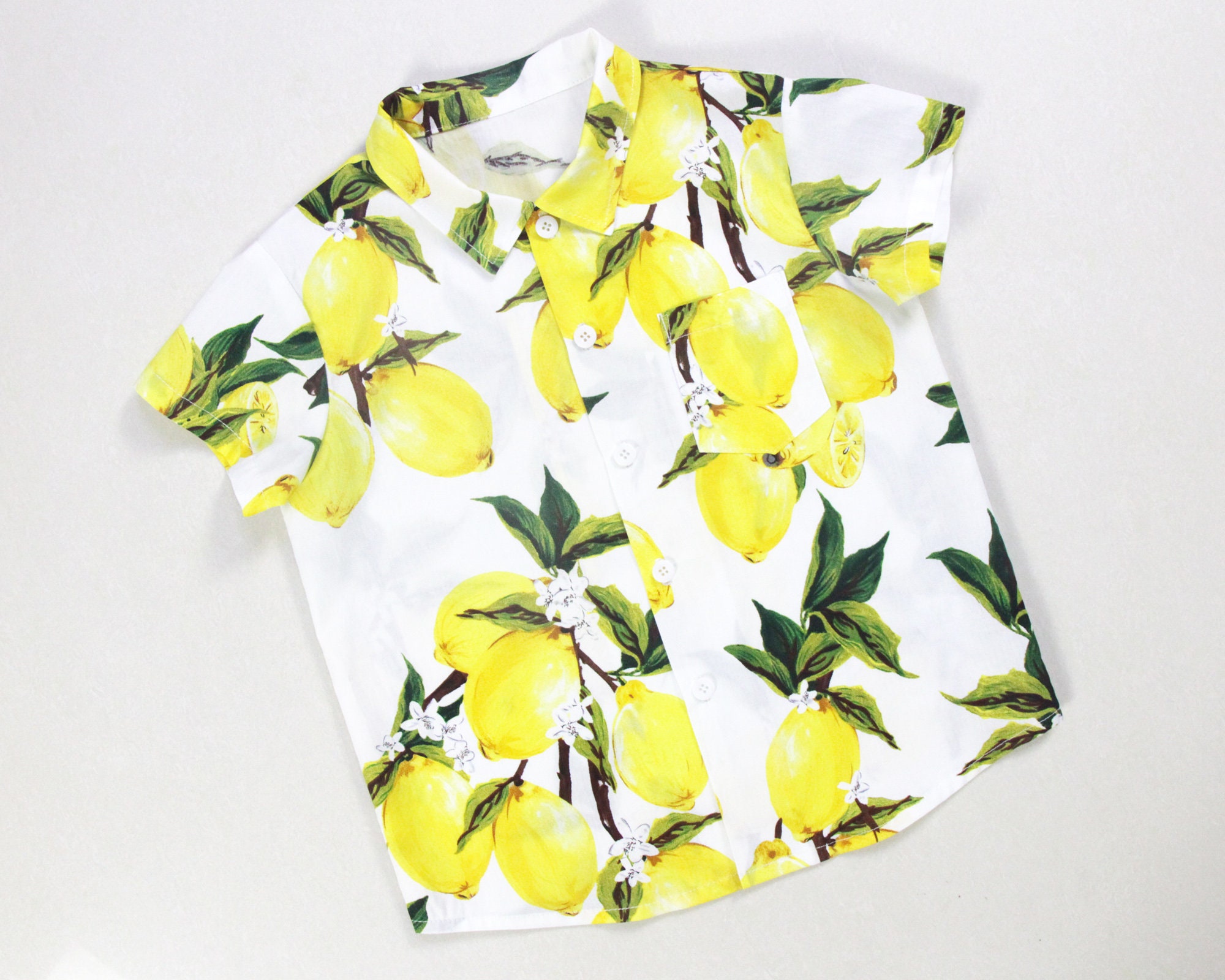 Lemon Brother Sister Matching Outfits Yellow Big Brother | Etsy