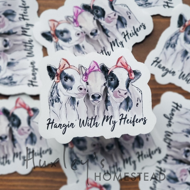 Heifer Decal - Etsy