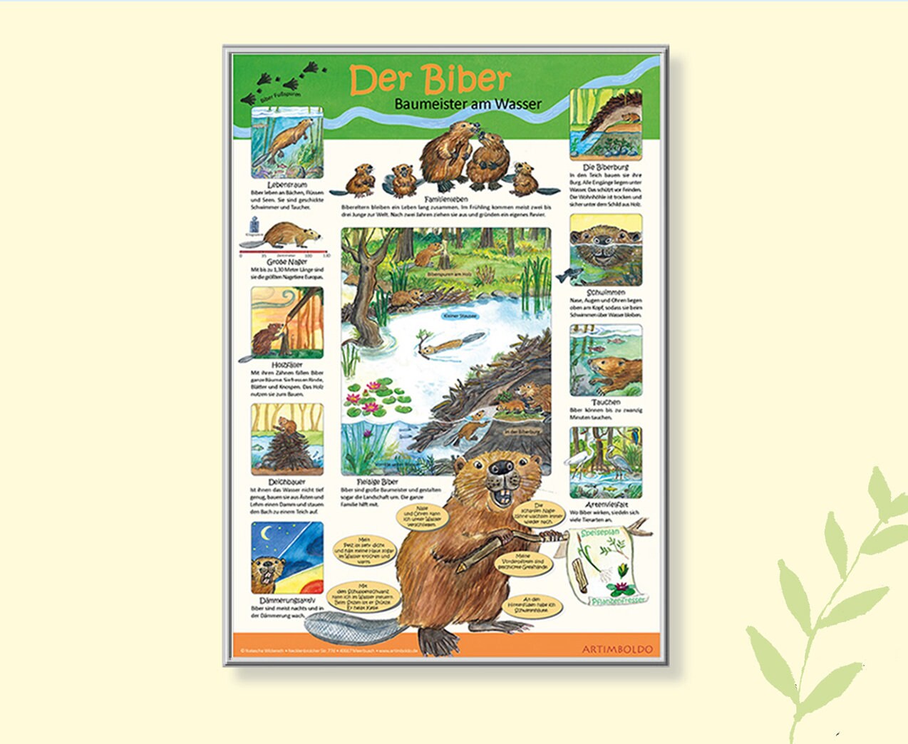 Beaver Learning Poster School Kids - Etsy UK