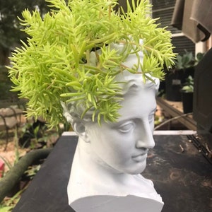 Artemis / Diana Goddess Planter/ Base / Pot for Plants / Succulents ...