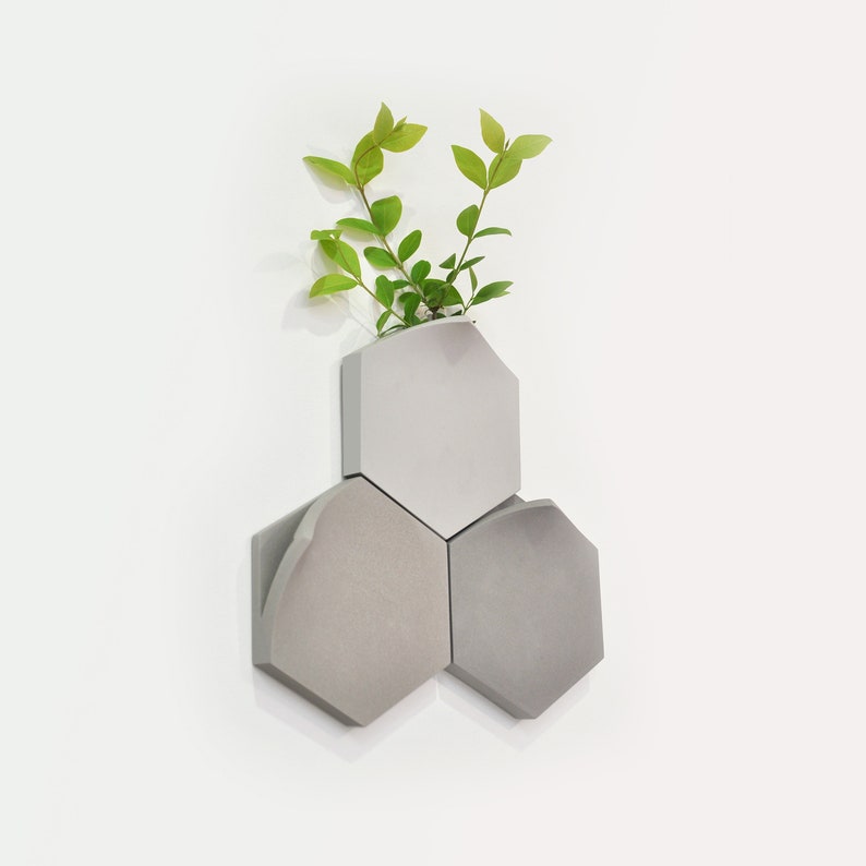 Hexagonal Modular Wall-mount Vase Single Piece by - Etsy