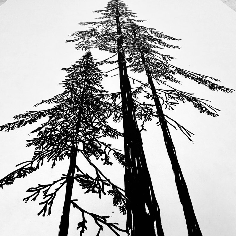 Linocut Nature Minimalist Print Douglas Fir Art Print on Lokta Paper ...