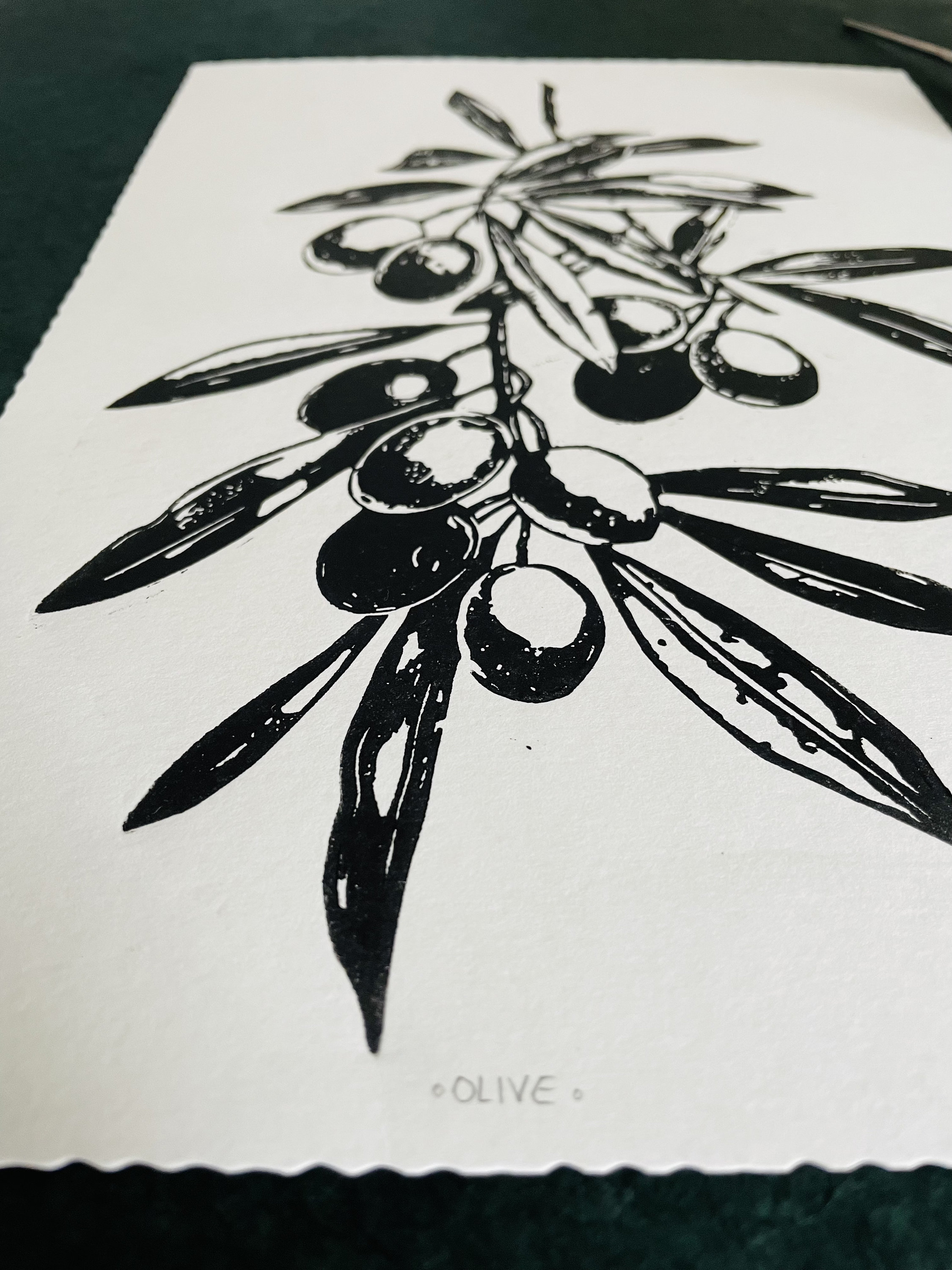 OLIVE TWIG black linocut on white paper (290g/m2) sold by Ki-Adi-Mundi ...