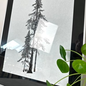 Linocut Nature Minimalist Print Douglas Fir Art Print on Lokta Paper ...