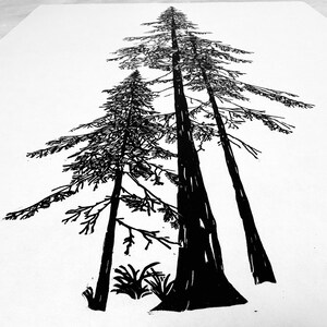 Linocut Nature Minimalist Print Douglas Fir Art Print on Lokta Paper ...