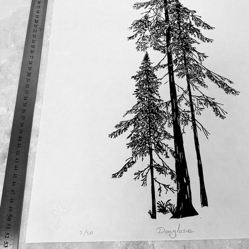 Linocut Nature Minimalist Print Douglas Fir Art Print on Lokta Paper ...