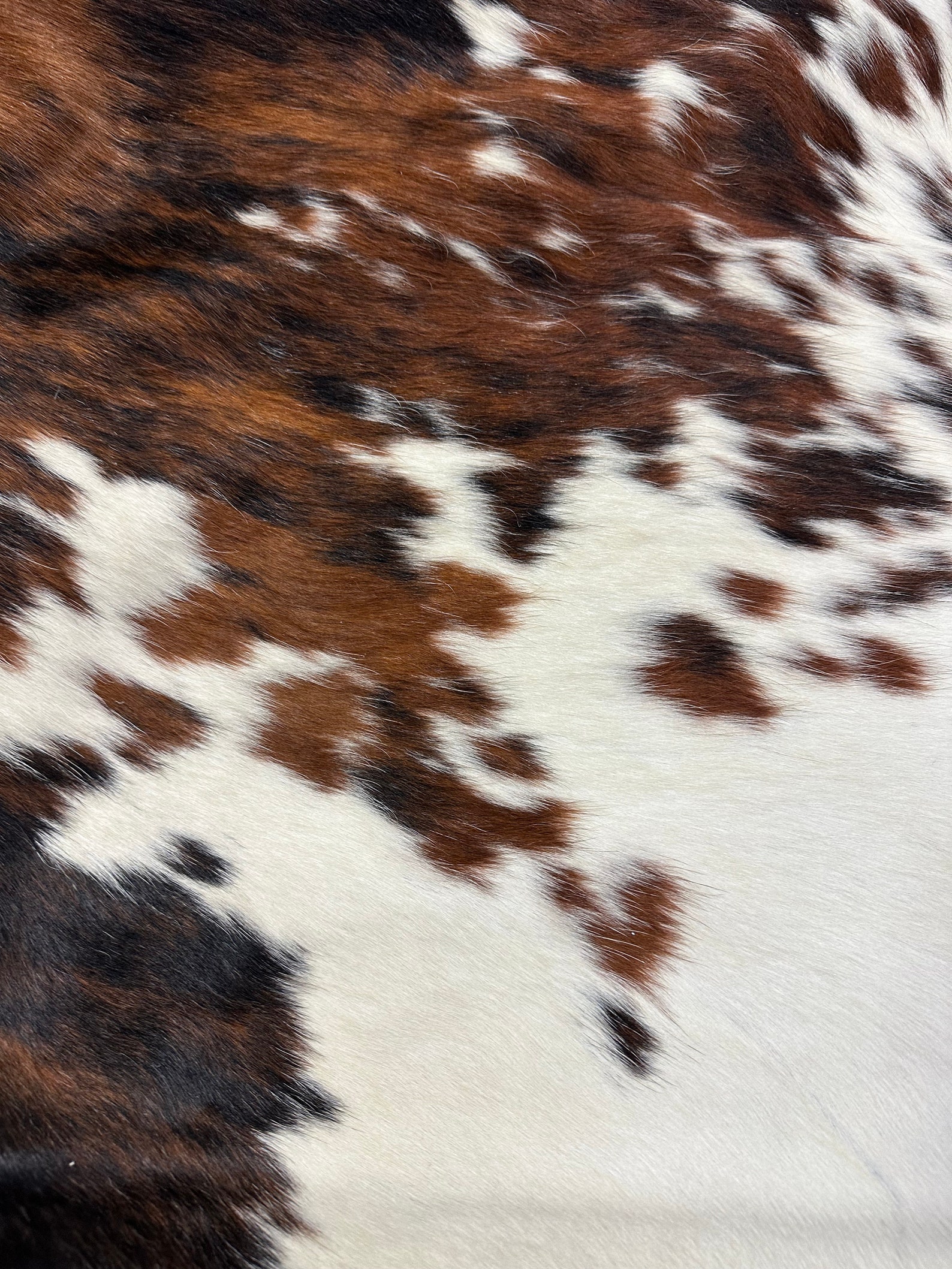 Tricolor Cowhide PRE CUT Pieces, Hair on Hide Cowhide Leather, Custom ...
