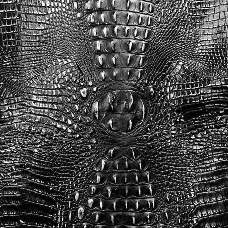 Embossed Croc Leather Bag - Etsy