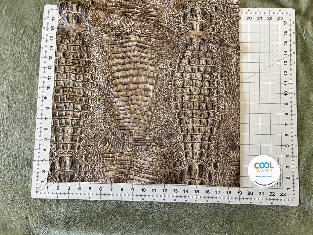 Embossed Crocodile Tan as Picture Embossed Leather Supply Ideas for ...