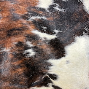 Tricolor Cowhide PRE CUT Pieces, Hair on Hide Cowhide Leather, Custom ...