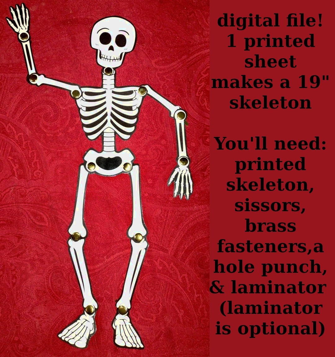 Posable Paper Doll SVG DXF PNG 2 Layers Halloween Skeleton Cricut ...